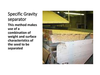 Steps involve in Seed processing | PPTX