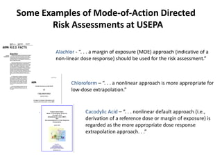 Weighing evidence of biological relevance: from empirical testing in ...