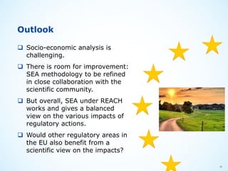 Regulatory impact assessment using socio-economic analysis | PDF