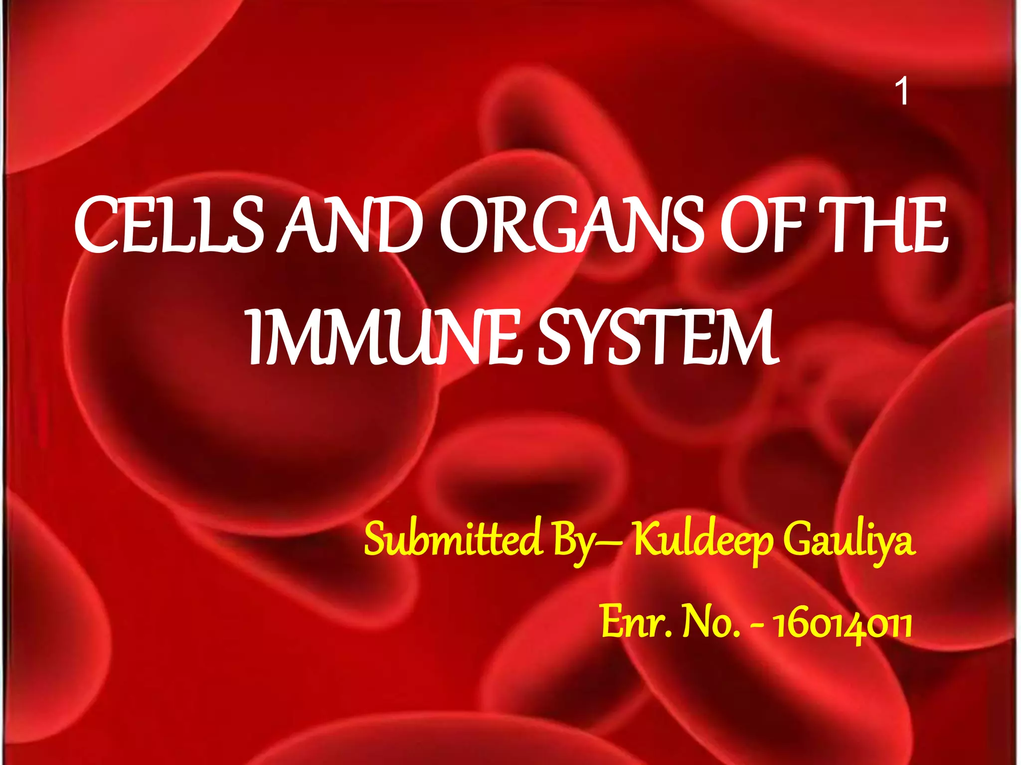 Cells And Organ of Immune System and Their Functions | PPTX