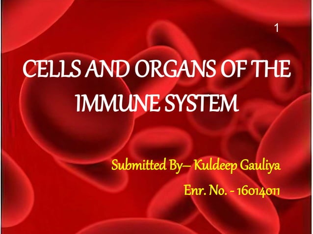 Cells And Organ of Immune System and Their Functions | PPTX