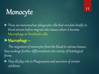 Cells And Organ of Immune System and Their Functions | PPTX