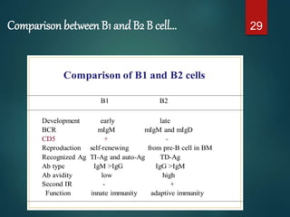 Cells And Organ of Immune System and Their Functions | PPTX