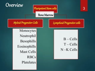 Cells And Organ of Immune System and Their Functions | PPTX