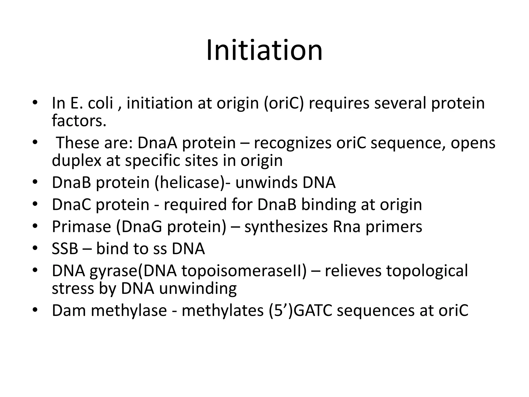 DNA replication.pptx