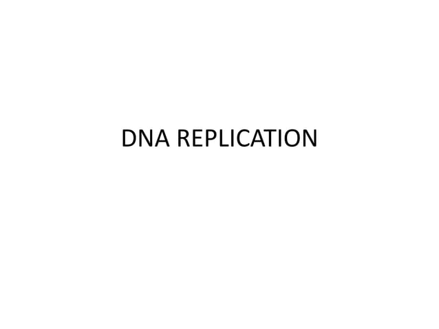 DNA replication.pptx