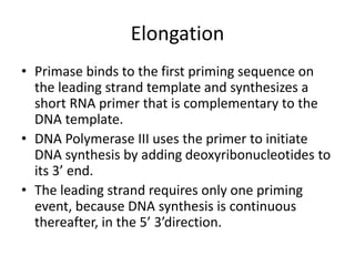 DNA replication.pptx