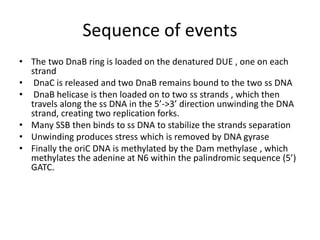 DNA replication.pptx