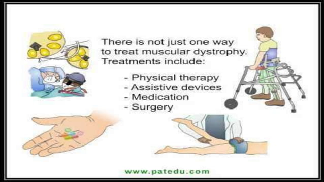 Muscular Dystrophy disorder PPT | PPT