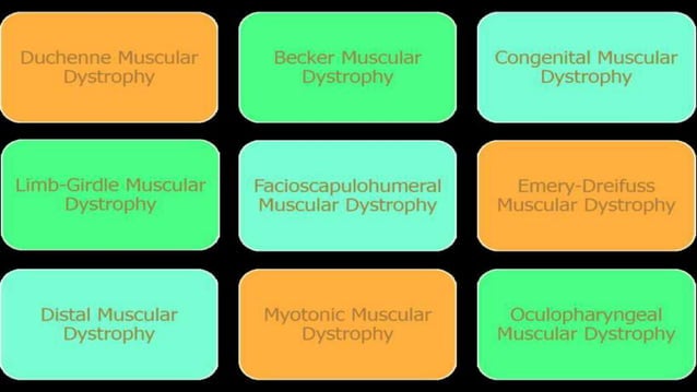 Muscular Dystrophy disorder PPT | PPT