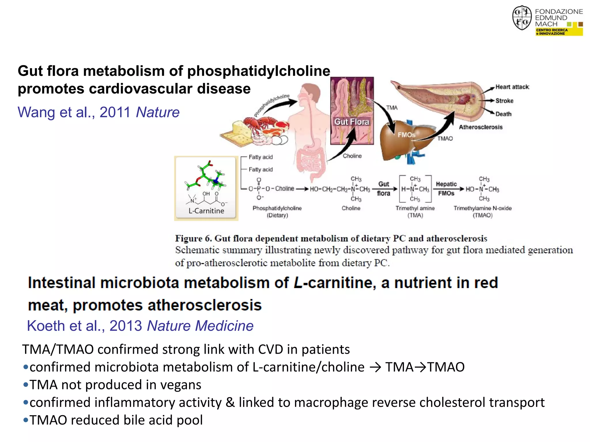 Personalised nutrition for the gut microbiome | PDF