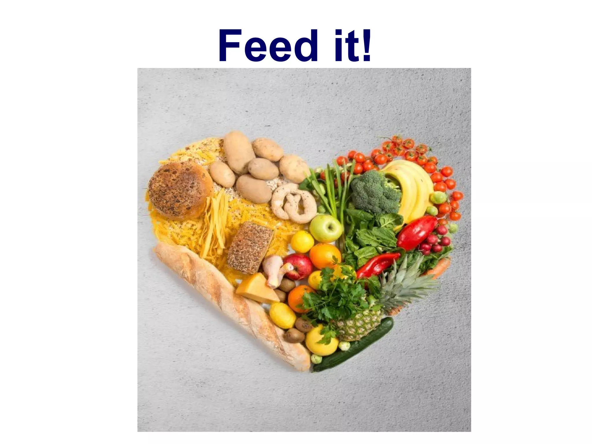 Personalised nutrition for the gut microbiome | PDF