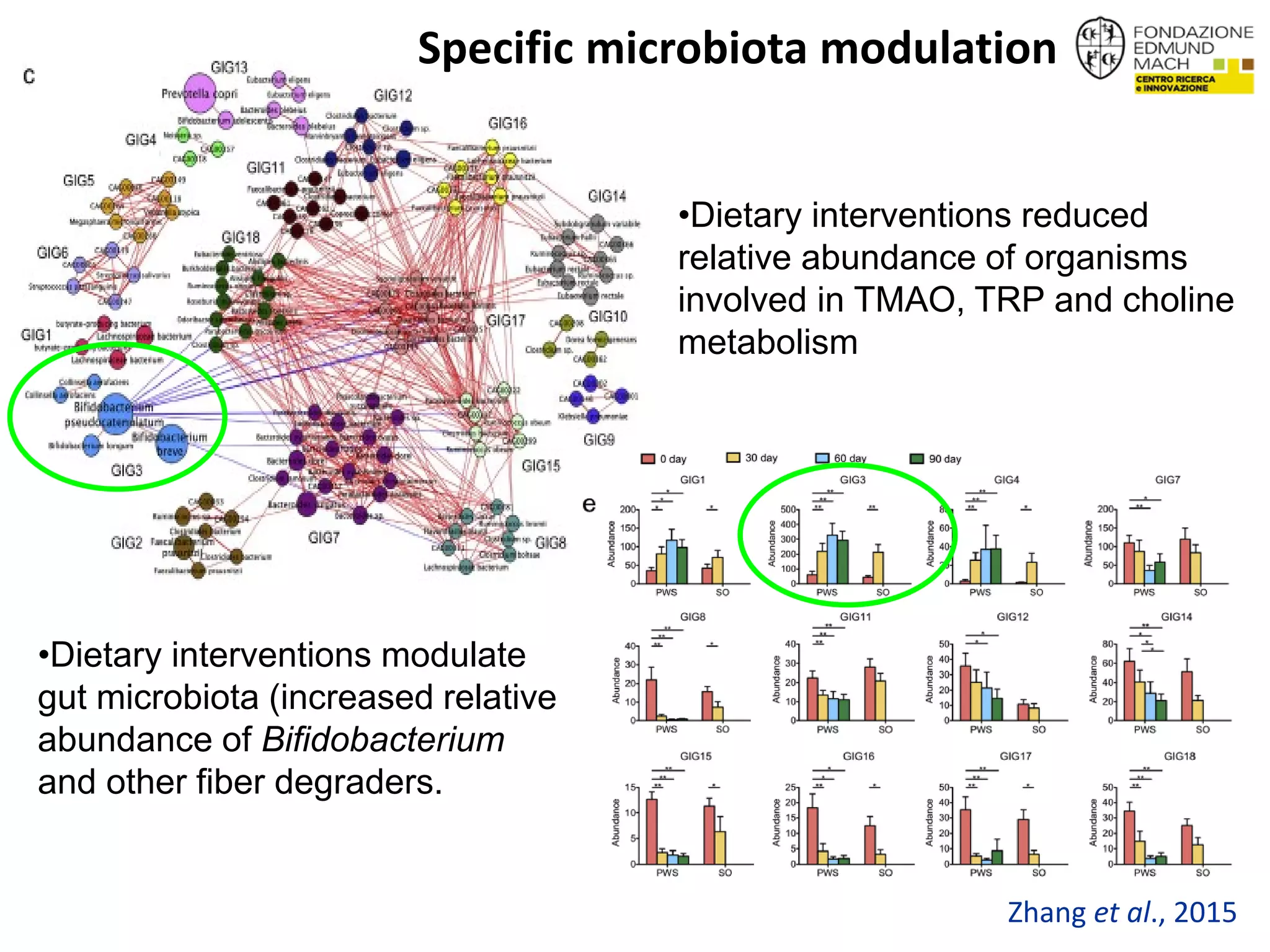 Personalised nutrition for the gut microbiome | PDF