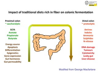 Personalised nutrition for the gut microbiome | PDF