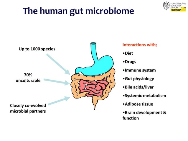 Personalised nutrition for the gut microbiome | PDF | Digestive Disorders | Diseases and Conditions