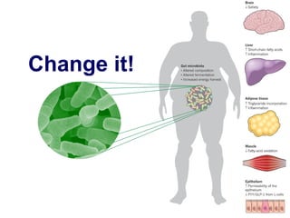 Personalised nutrition for the gut microbiome | PDF