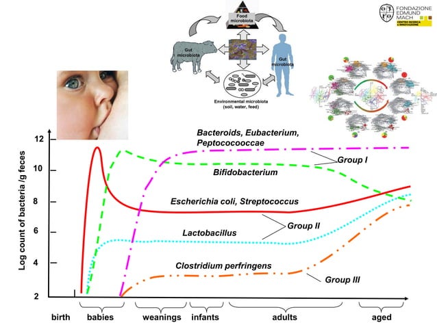 Personalised nutrition for the gut microbiome | PDF | Digestive Disorders | Diseases and Conditions