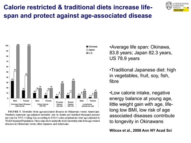 Personalised nutrition for the gut microbiome | PDF | Digestive Disorders | Diseases and Conditions