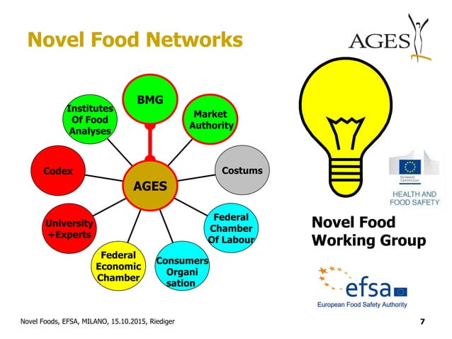 Novel foods | PDF | Food Industry | Industries