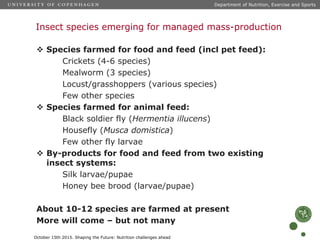 Under-used food sources of key nutrients | PPT