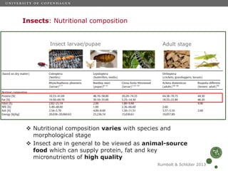 Under-used food sources of key nutrients | PPT