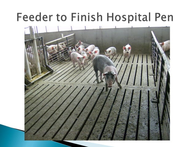 Dr. Bryan Myers - Recognition, Prevention and Control of Swine Diseases ...