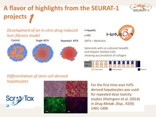 In vitro data and in silico models for predictive toxicology | PDF
