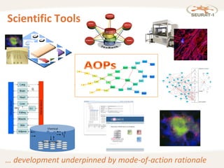 In vitro data and in silico models for predictive toxicology | PDF
