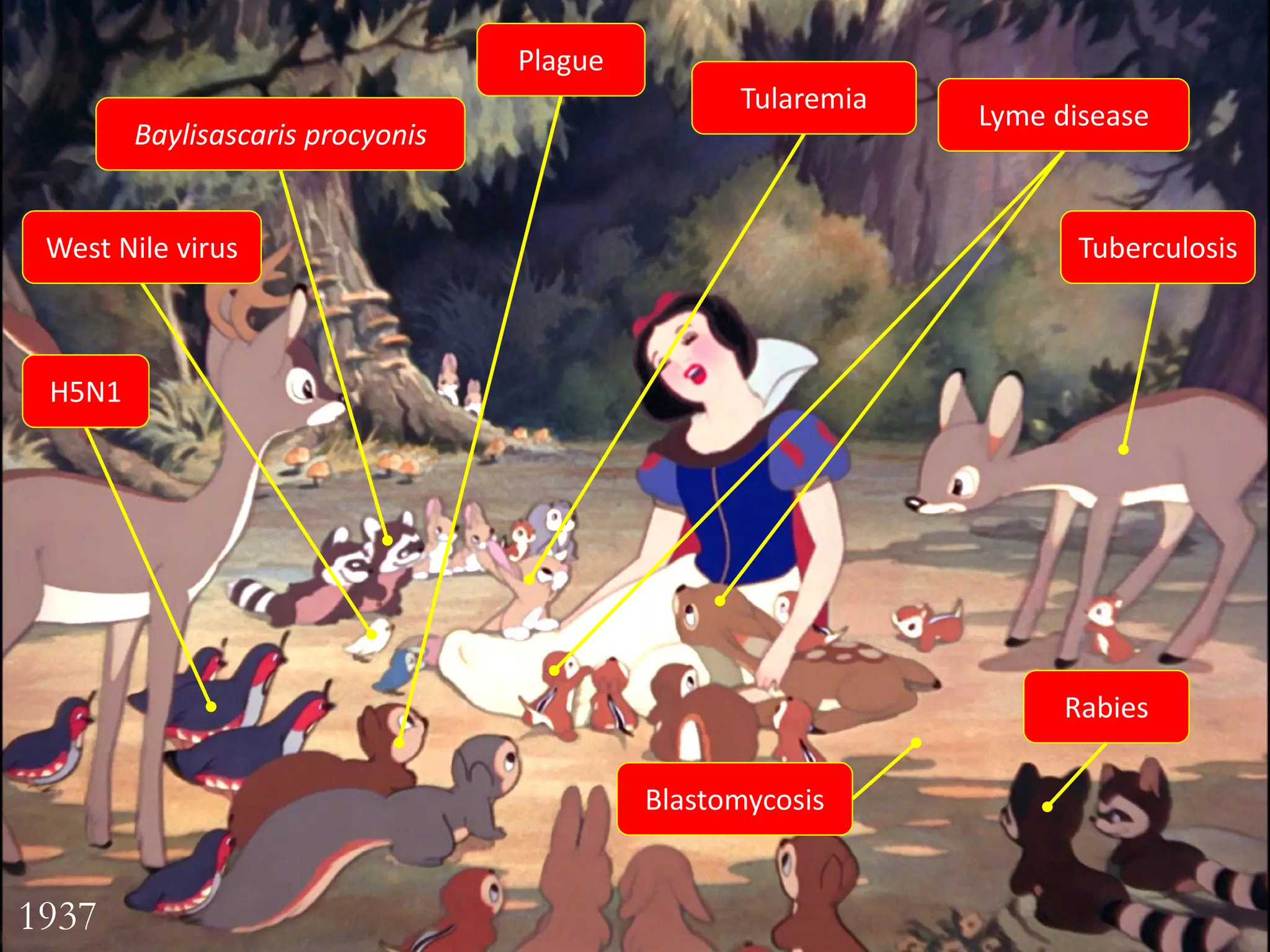 Discovering novel pathways of cross-species pathogen transmission | PDF