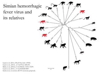 Discovering novel pathways of cross-species pathogen transmission | PDF