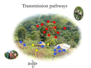 Discovering novel pathways of cross-species pathogen transmission | PDF