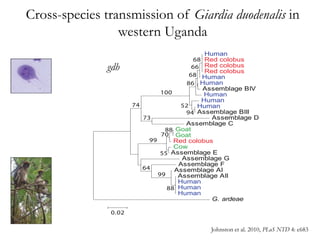Discovering novel pathways of cross-species pathogen transmission | PDF