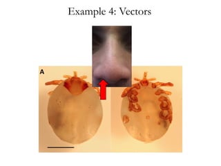 Discovering novel pathways of cross-species pathogen transmission | PDF