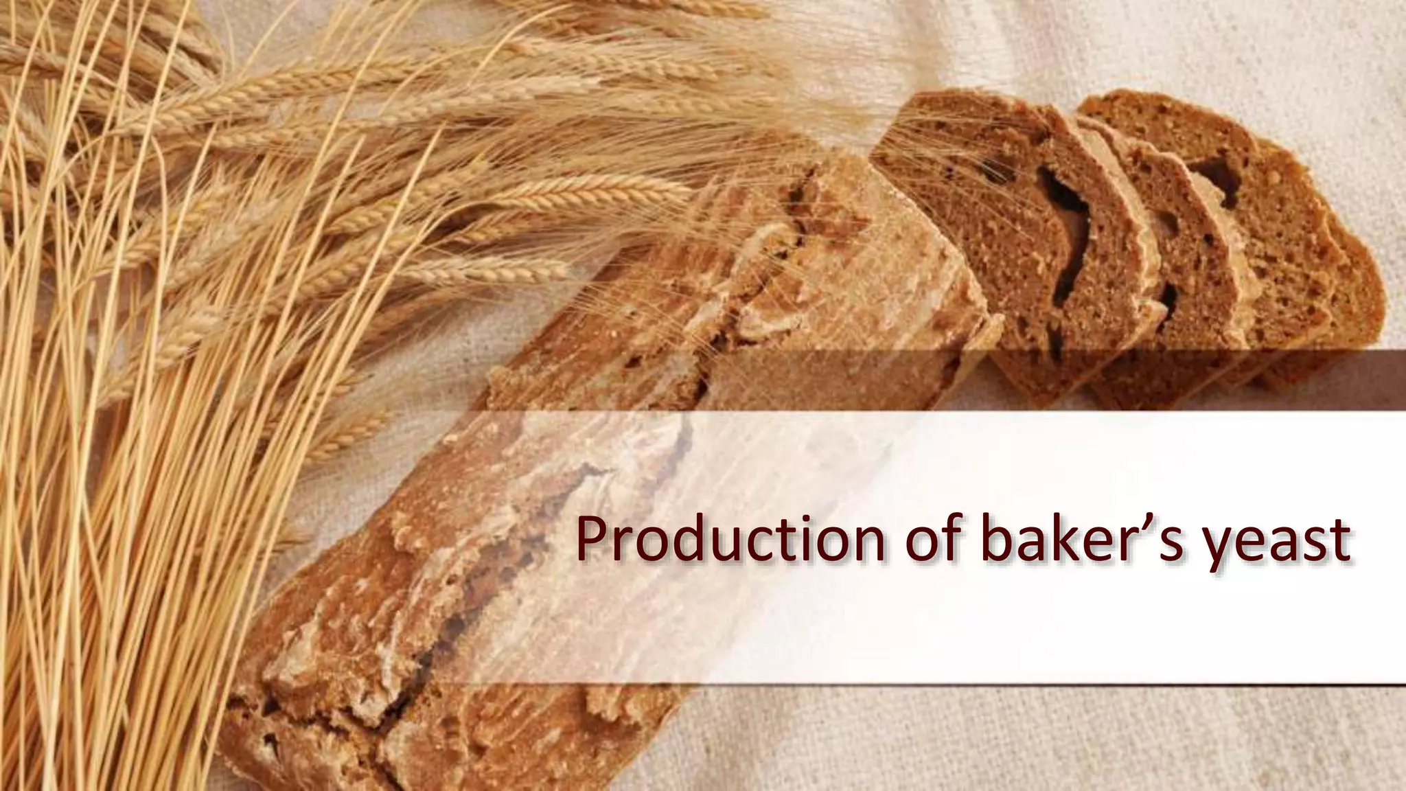 production of baker's yeast | PPTX