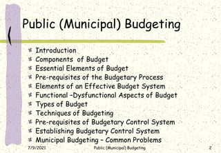 Public (Municipal) Budgeting - Introduction | PDF