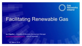 Renewable Gas for the large industry sector - The road to Ireland's low ...