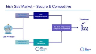 Renewable Gas for the large industry sector - The road to Ireland's low ...
