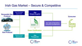 Renewable Gas for the large industry sector - The road to Ireland's low ...