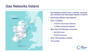 Renewable Gas for the large industry sector - The road to Ireland's low ...