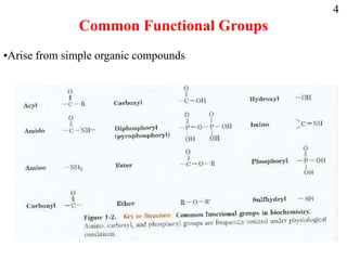 1603278403-foundation-of-biochemistry.ppt