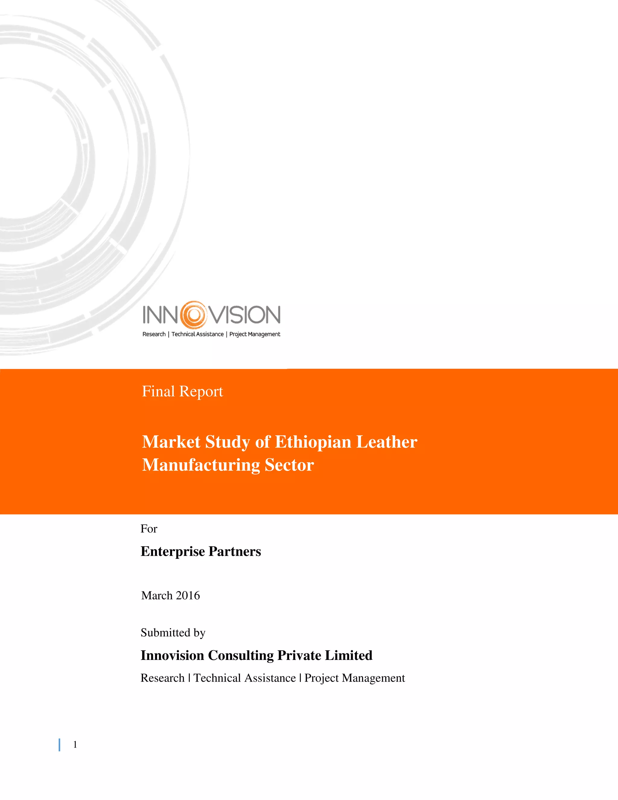 160329 ethiopian leather manufacturing innovision | PDF
