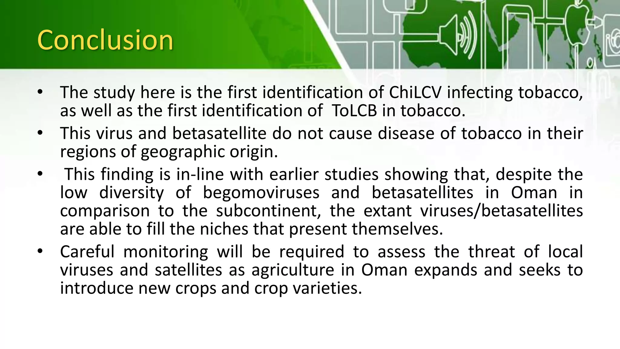 Chilli leaf curl virus | PPTX