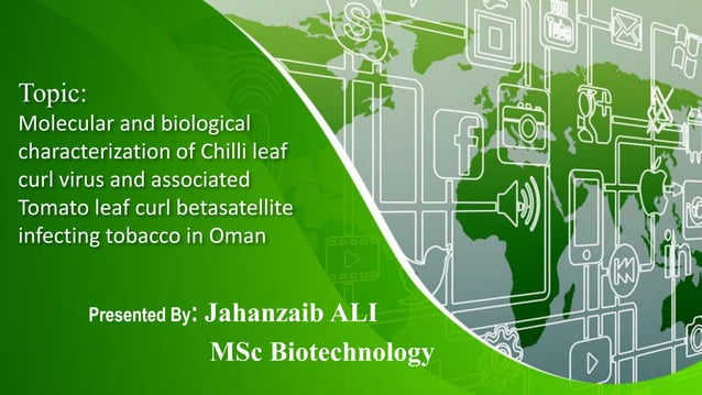 Chilli leaf curl virus | PPTX | Biological Sciences | Science