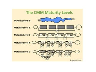 The Quality Standard: ISO 9000 , CMM and Six Sigma | PPTX