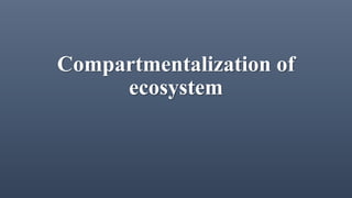 1603638128-lecture-26-compartmentalization-of-ecosystem.pptx