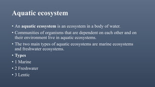 1603638128-lecture-26-compartmentalization-of-ecosystem.pptx