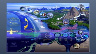 1603638128-lecture-26-compartmentalization-of-ecosystem.pptx