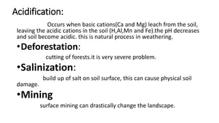 1603638315-lecture-22-community-soil-relationship.pptx