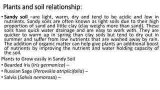 1603638315-lecture-22-community-soil-relationship.pptx