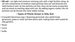 1603638315-lecture-22-community-soil-relationship.pptx